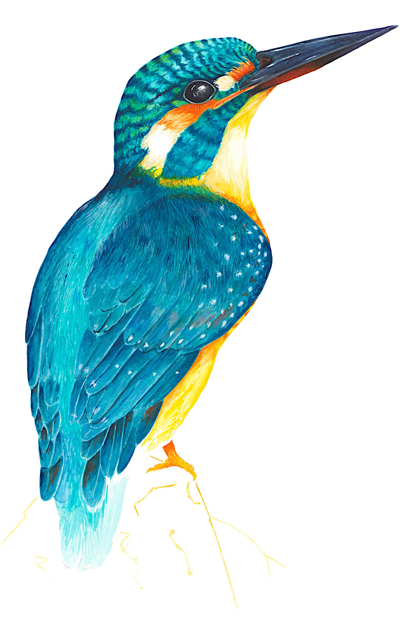 COMMON KINGFISHER - original watercolour – Brian Asquith Art
