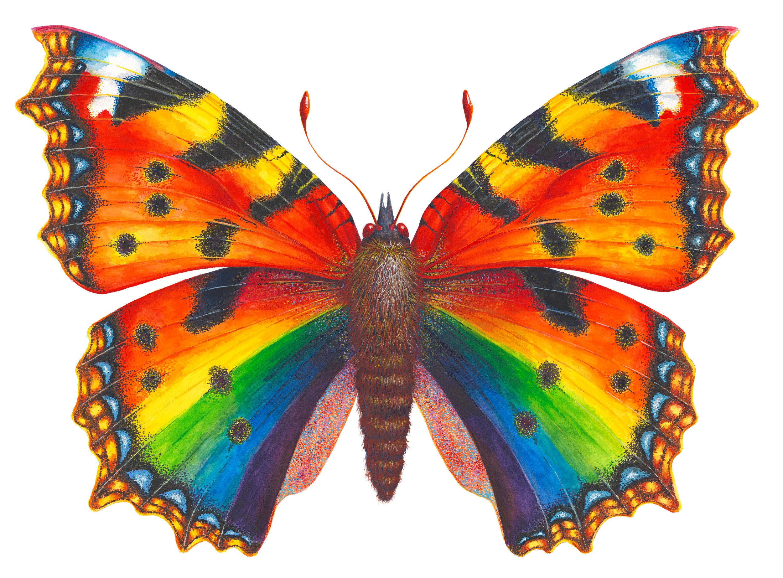 PRIDE BUTTERFLY - original watercolour – Brian Asquith Art